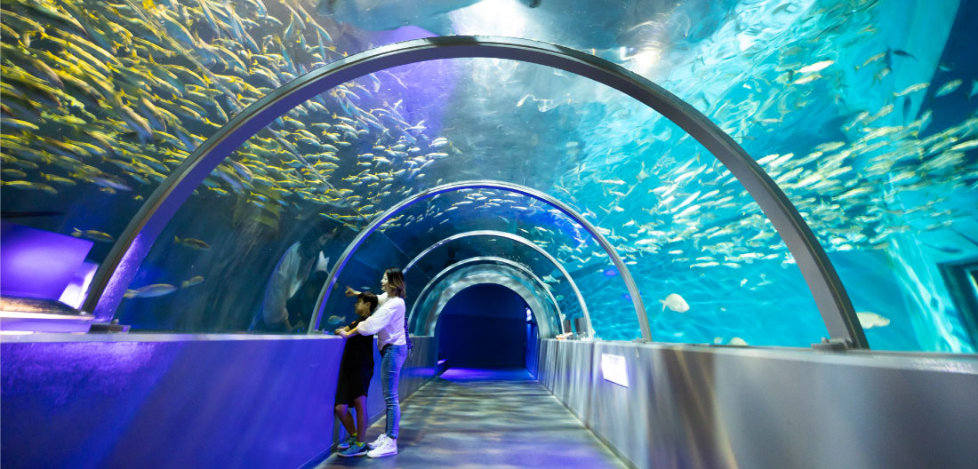 【official】NOBORIBETSU MARINE PARK NIXE｜Aquarium in a castle・NIXE CASTLE
